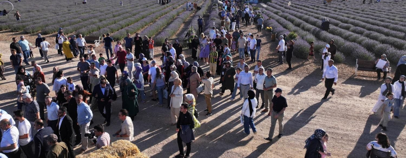 The Konya News